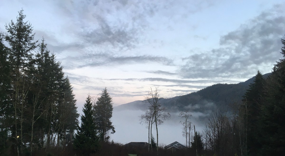 Decades – Roasted Words